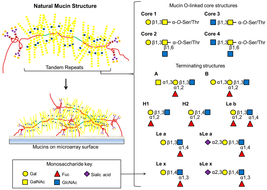 Microarrays | December 2015 - Browse Articles