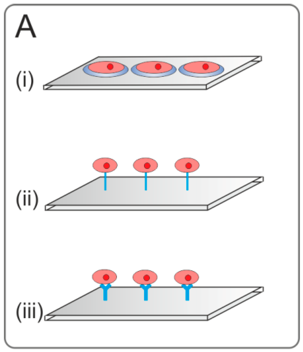 Living Cell Microarrays: An Overview of Concepts