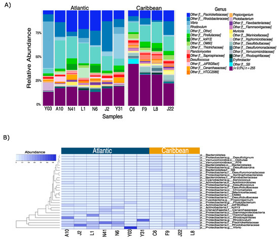 Microbiology Research | An Open Access Journal from MDPI
