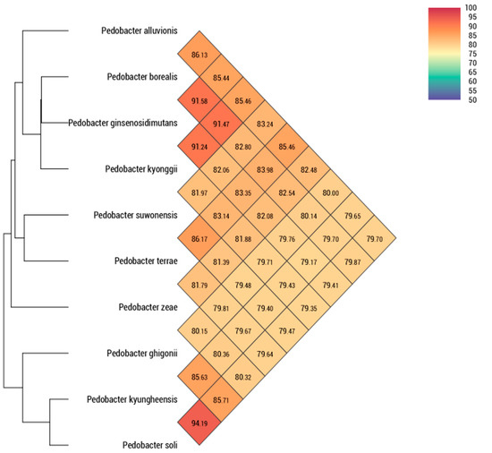 Pedobacter ghigonii sp. nov., Isolated from the Microbiota of the ...