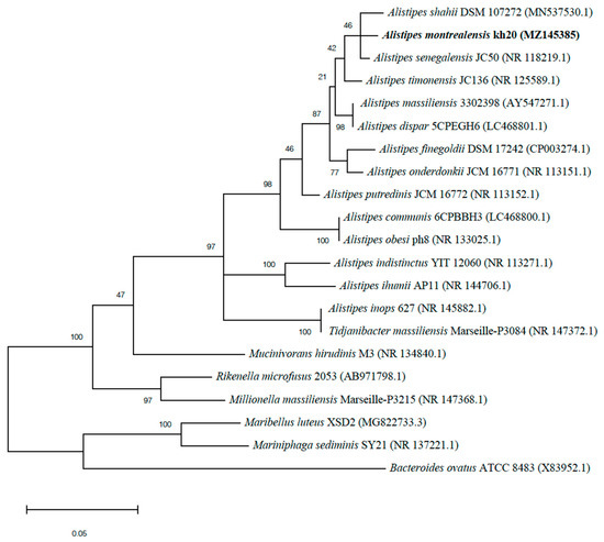 Characterization of Alistipes montrealensis sp. nov., Isolated from ...