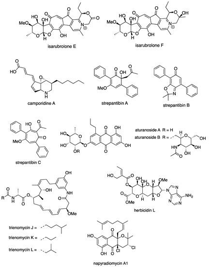 Streptomyces: Still the Biggest Producer of New Natural Secondary ...