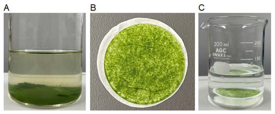 Removal of Pb (II) from Aqueous Solution by a Pectin-Producing Alga ...