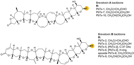 Heterosigma akashiwo, a Fish-Killing Flagellate