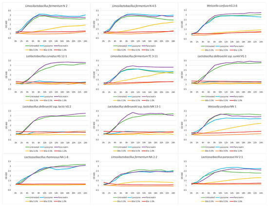 Probiotic Potential of Lactic Acid Bacterial Strains Isolated from ...