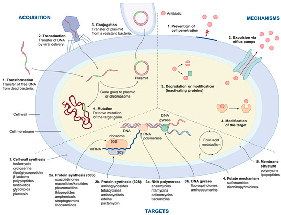 Drug Resistance: An Incessant Fight against Evolutionary Strategies of ...