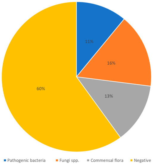 Microbiology Research | Free Full-Text | Antimicrobial Resistance and ...