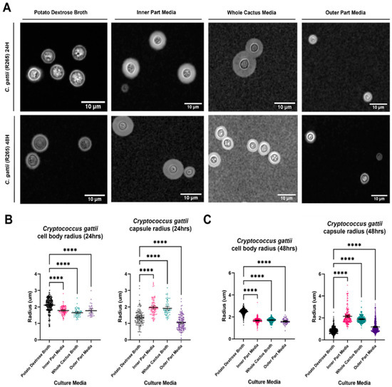Cryptococcus gattii Can Use the Cactus Pilosocereus spp. to Grow and ...