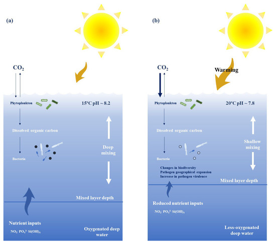 Microorganisms and Climate Change: A Not So Invisible Effect