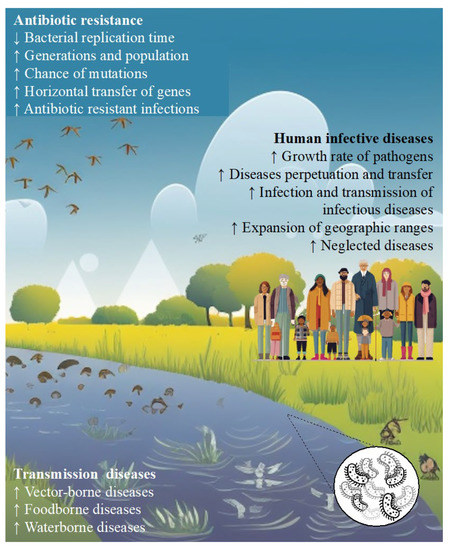 Microorganisms and Climate Change: A Not So Invisible Effect