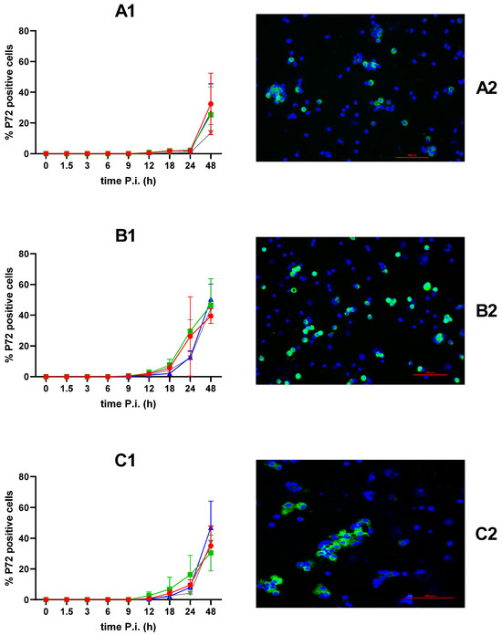 Replication Kinetics and Infectivity of African Swine Fever Virus (ASFV ...