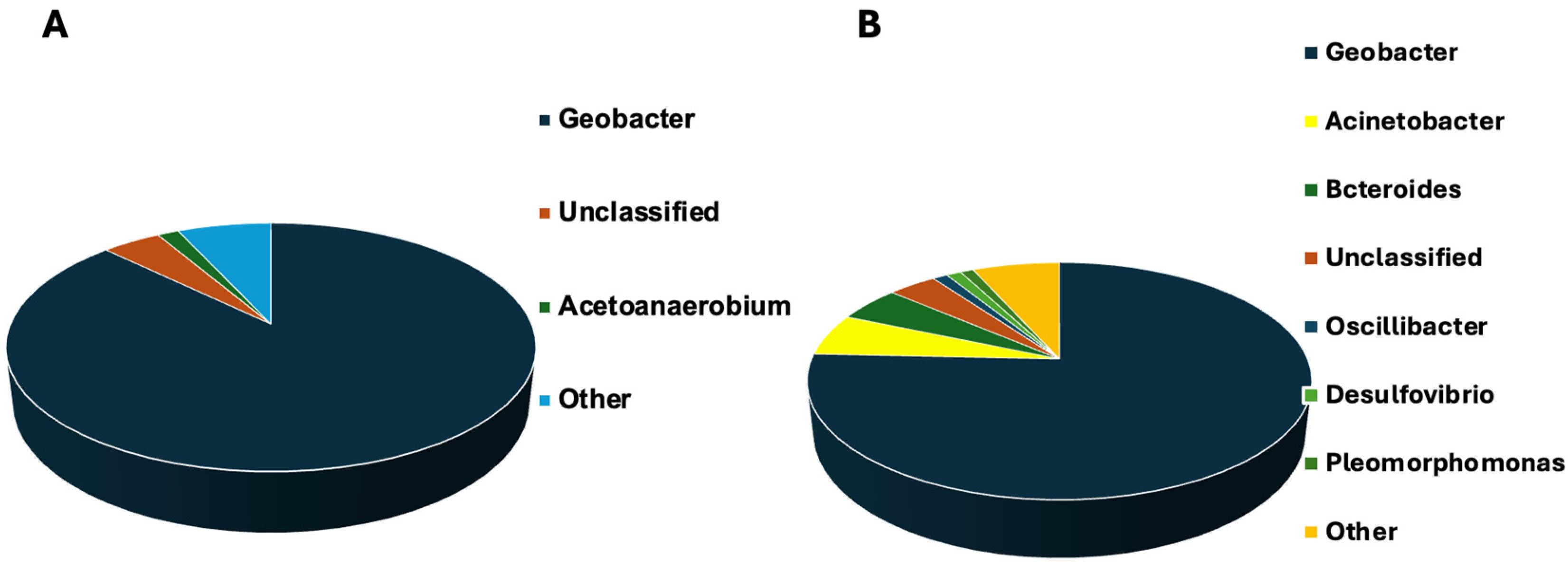 Enrichment of Geobacter on Anode Biofilms from Domestic Wastewater without Posing Anode ...