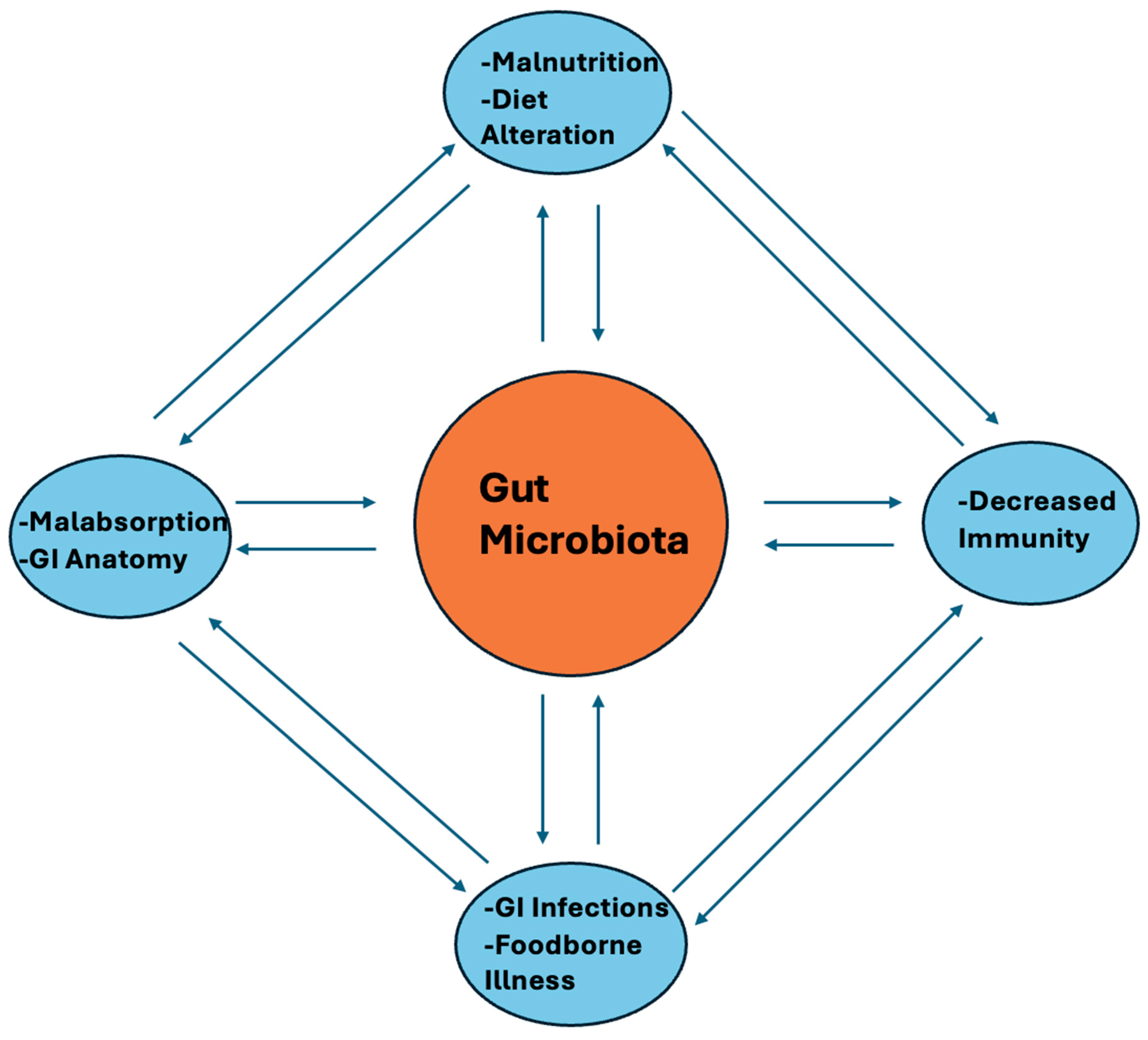 Bioinformatic Methodologies in Assessing Gut Microbiota