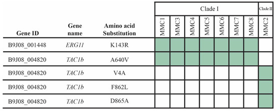 Candida auris Antifungal Resistance, Virulence and Susceptibility to a ...