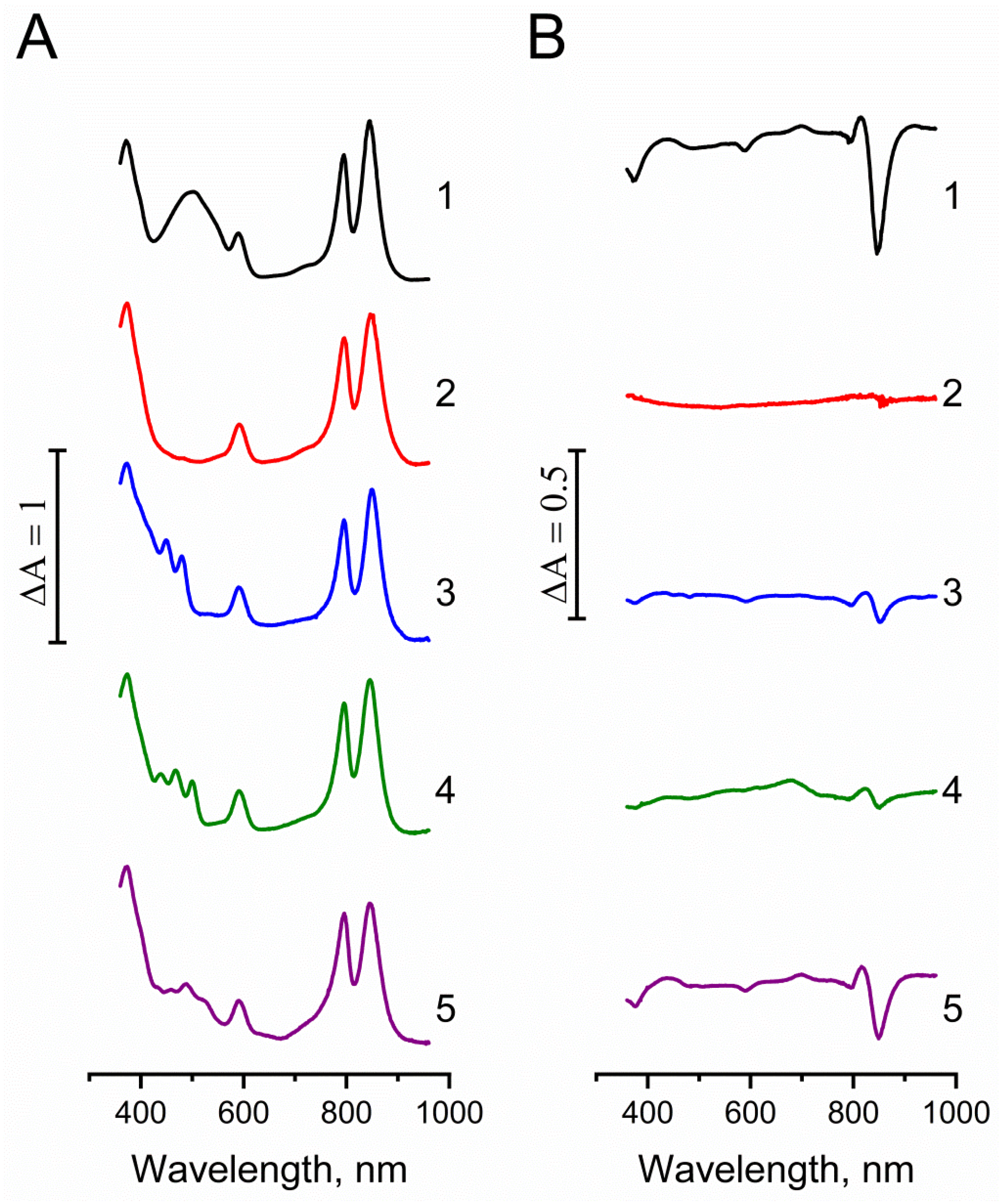 Effect of Carotenoid Composition on Stability and Light-Induced Oxidative Damage of the LH2 ...