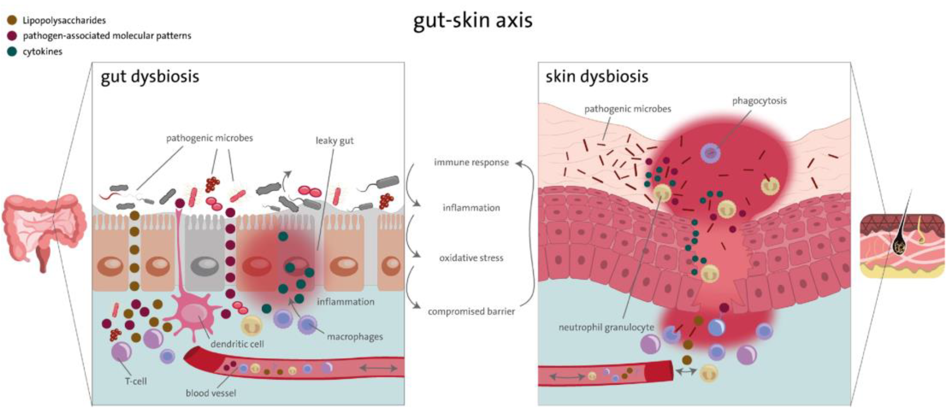 Pathogenic and Non-Pathogenic Microbes in the Wound Microbiome—How to ...
