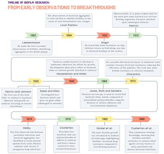 What We Still Don’t Know About Biofilms—Current Overview and Key ...