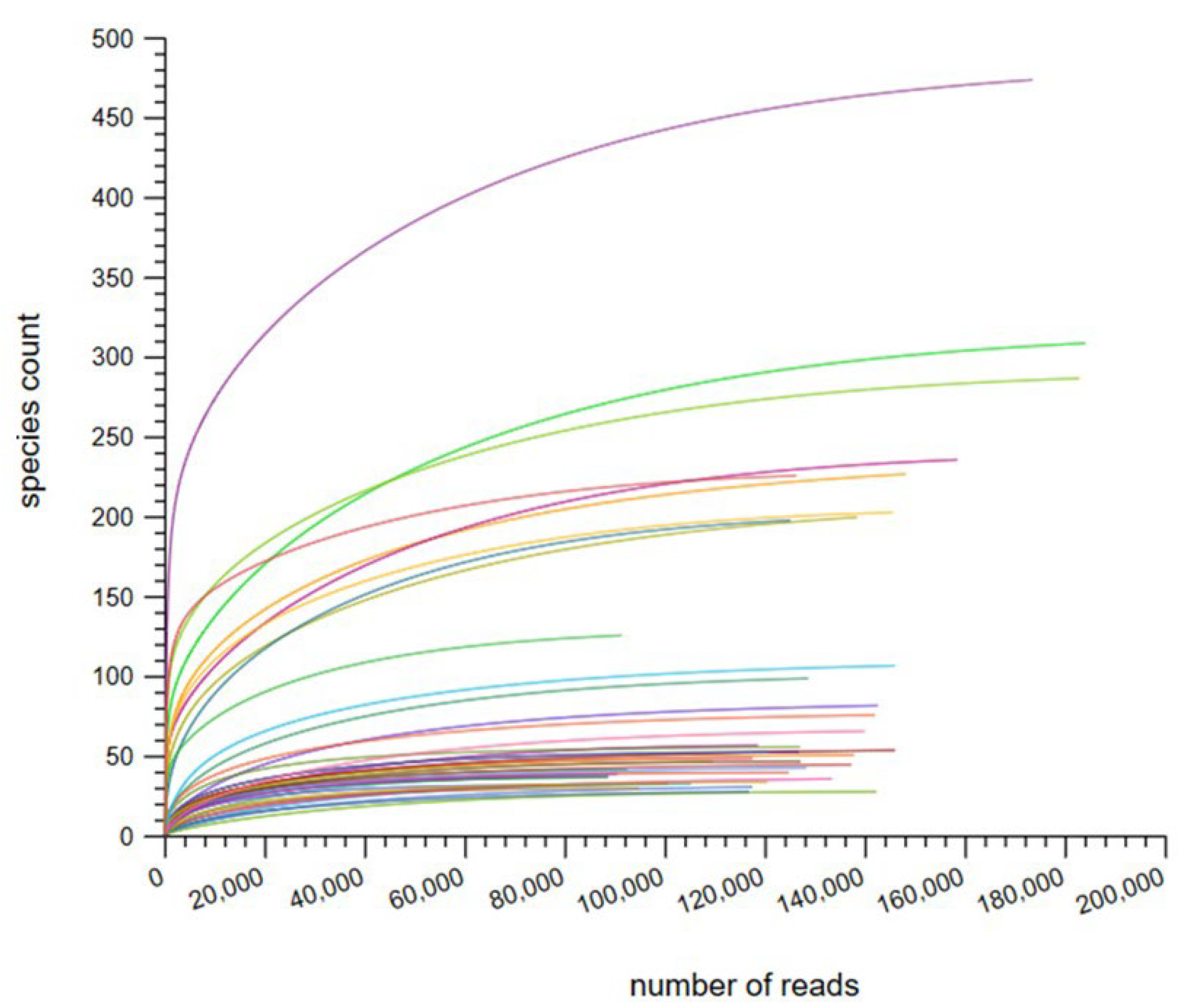 Microbial Changes in Hand Skin During COVID-19: A Longitudinal Study in ...