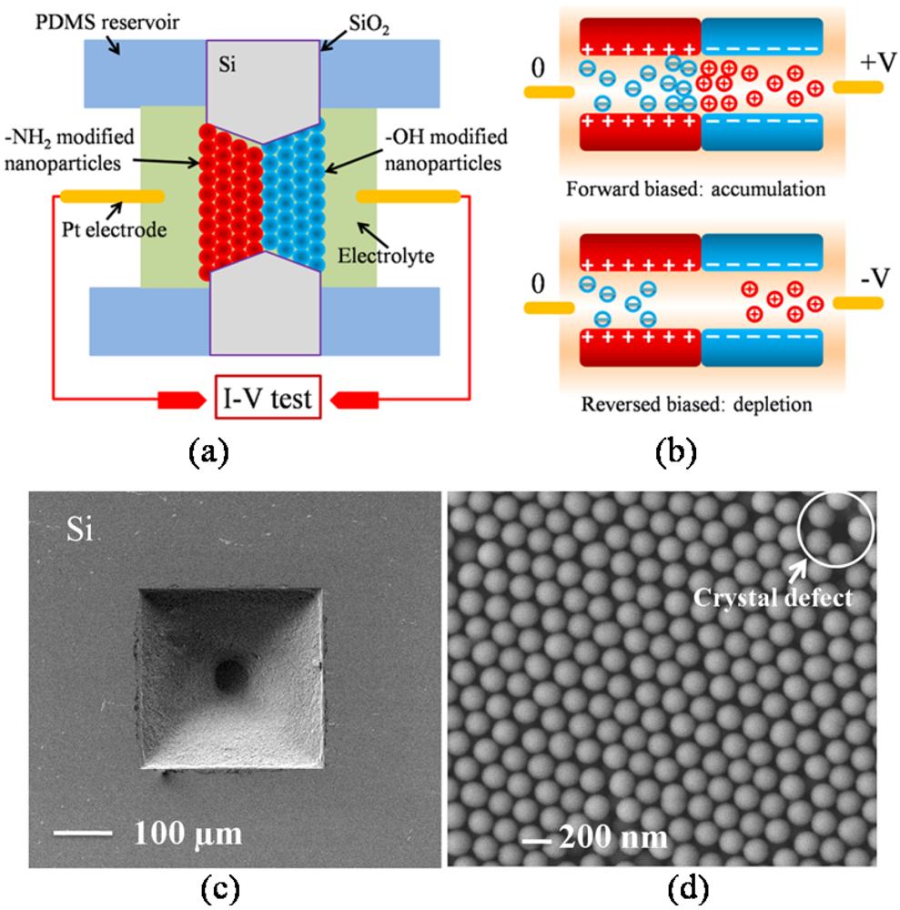 Self-Assembly in Micro- and Nanofluidic Devices: A Review of Recent Efforts