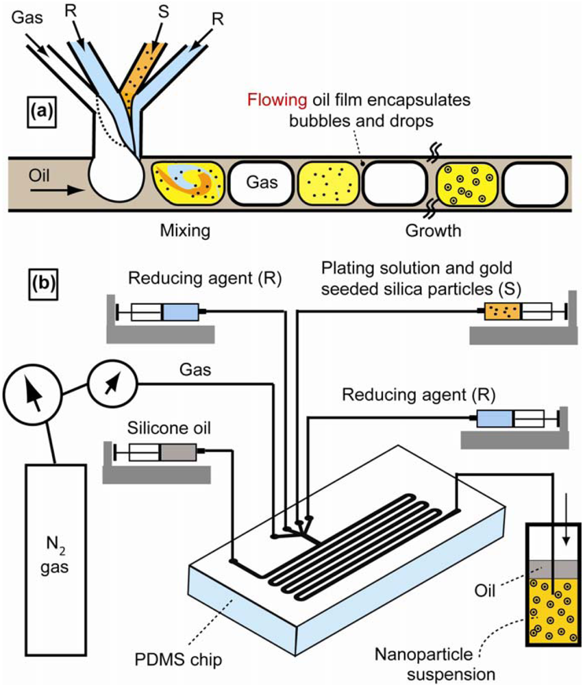 Self-Assembly in Micro- and Nanofluidic Devices: A Review of Recent Efforts