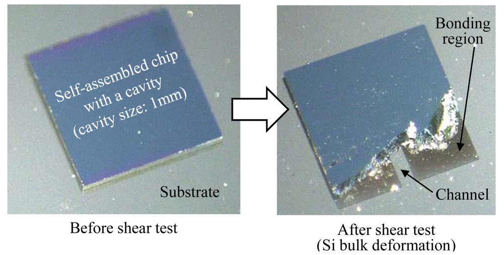 Self-Assembly of Chip-Size Components with Cavity Structures: High ...