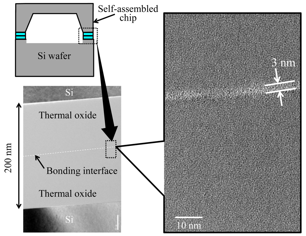 Self-Assembly of Chip-Size Components with Cavity Structures: High ...