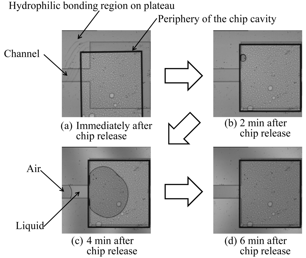 Self-Assembly of Chip-Size Components with Cavity Structures: High ...