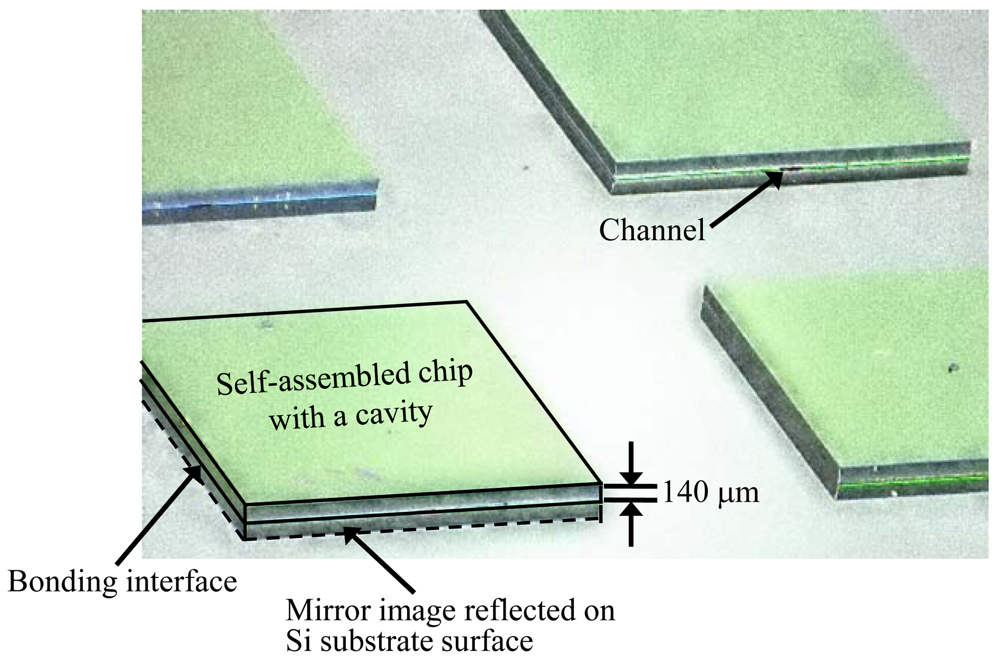 Self-Assembly of Chip-Size Components with Cavity Structures: High ...
