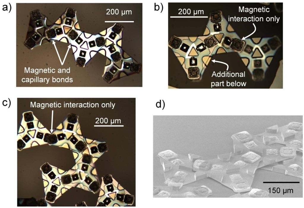 Self-Assembly of Microscale Parts through Magnetic and Capillary ...