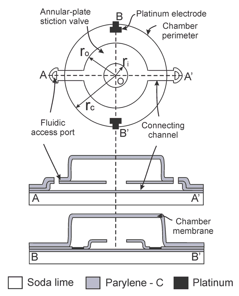 Micromachines | Free Full-Text | Liquid Encapsulation in Parylene ...