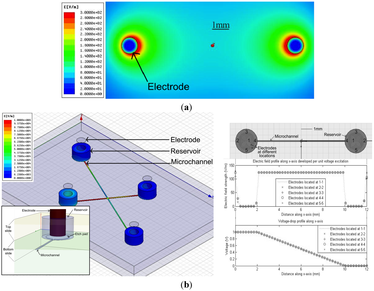 Analysis of Electric Fields inside Microchannels and Single Cell ...