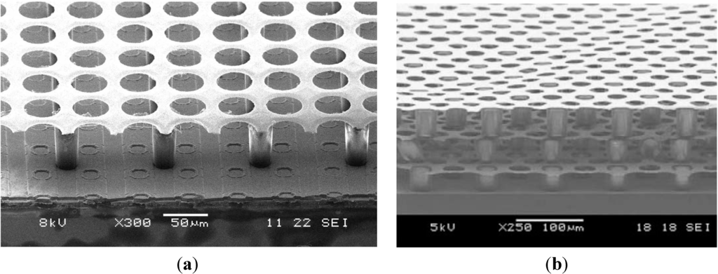 Micromachines | Special Issue : 15 Years of SU8 as MEMS Material
