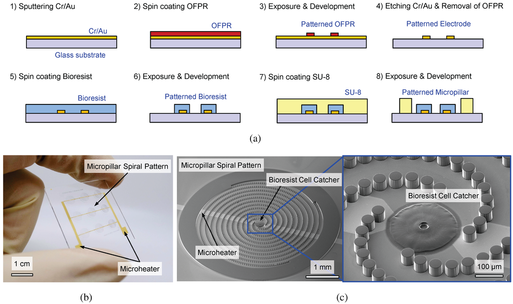 A Single Cell Extraction Chip Using Vibration-Induced Whirling Flow and ...