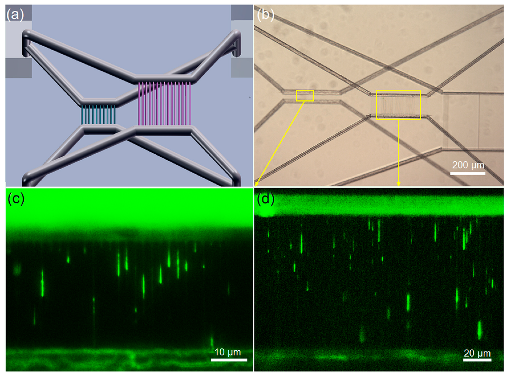 Femtosecond Laser 3D Fabrication in Porous Glass for Micro- and ...