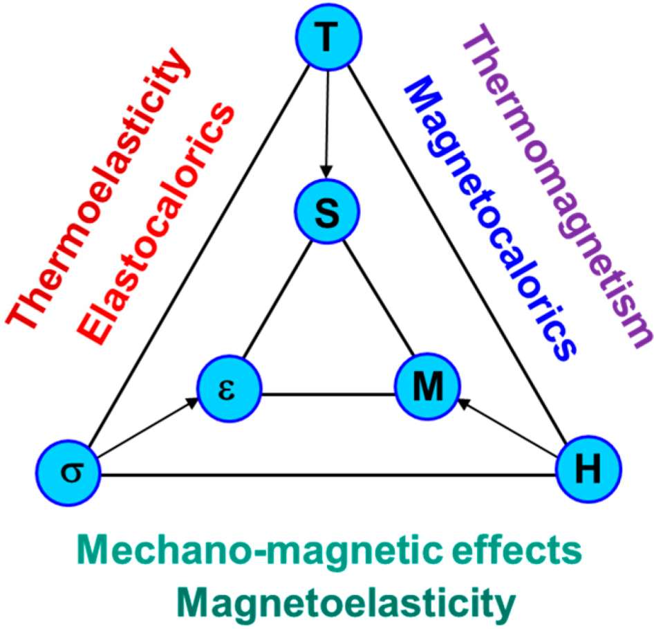 Micromachines | Free Full-Text | Magnetic Shape Memory Microactuators