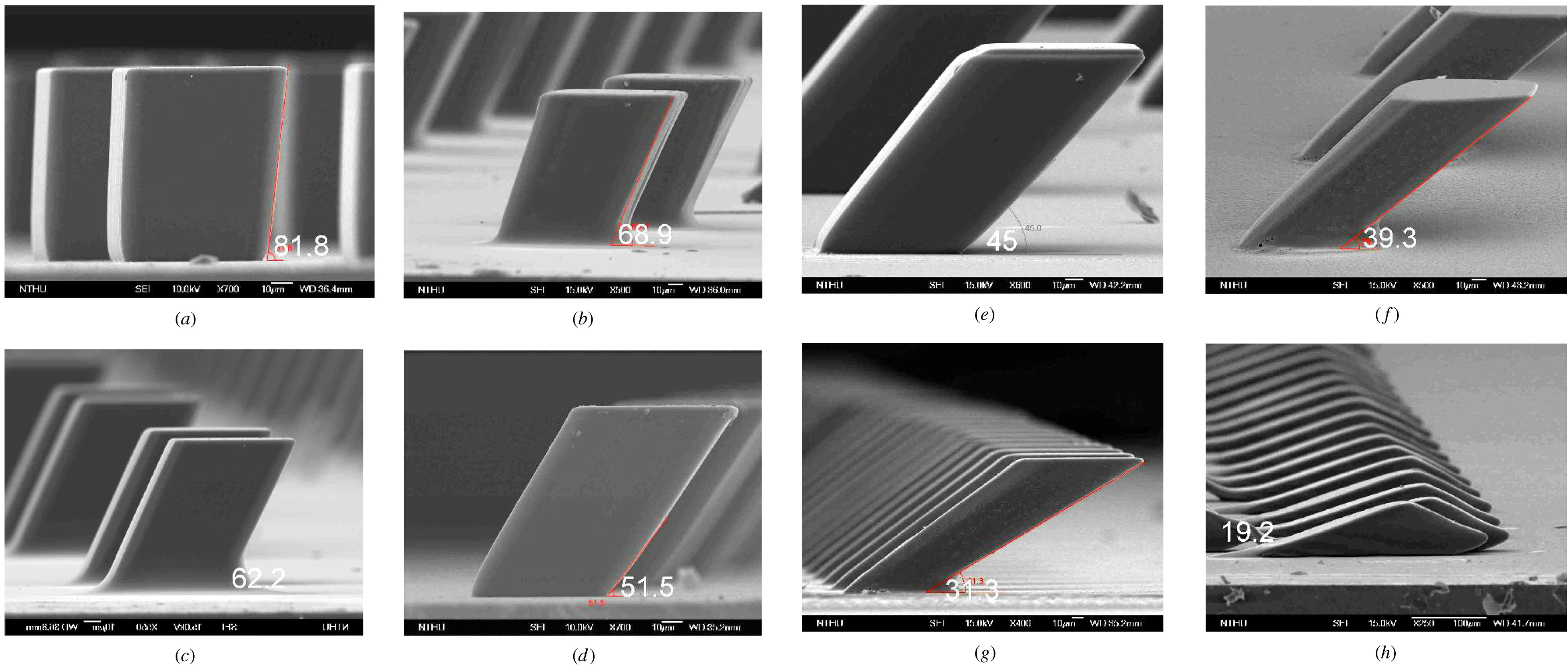 Innovative SU-8 Lithography Techniques and Their Applications