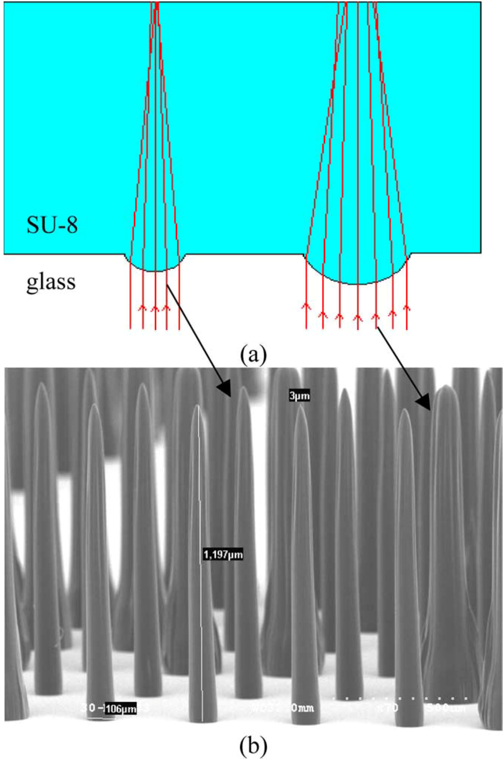 Innovative SU-8 Lithography Techniques and Their Applications