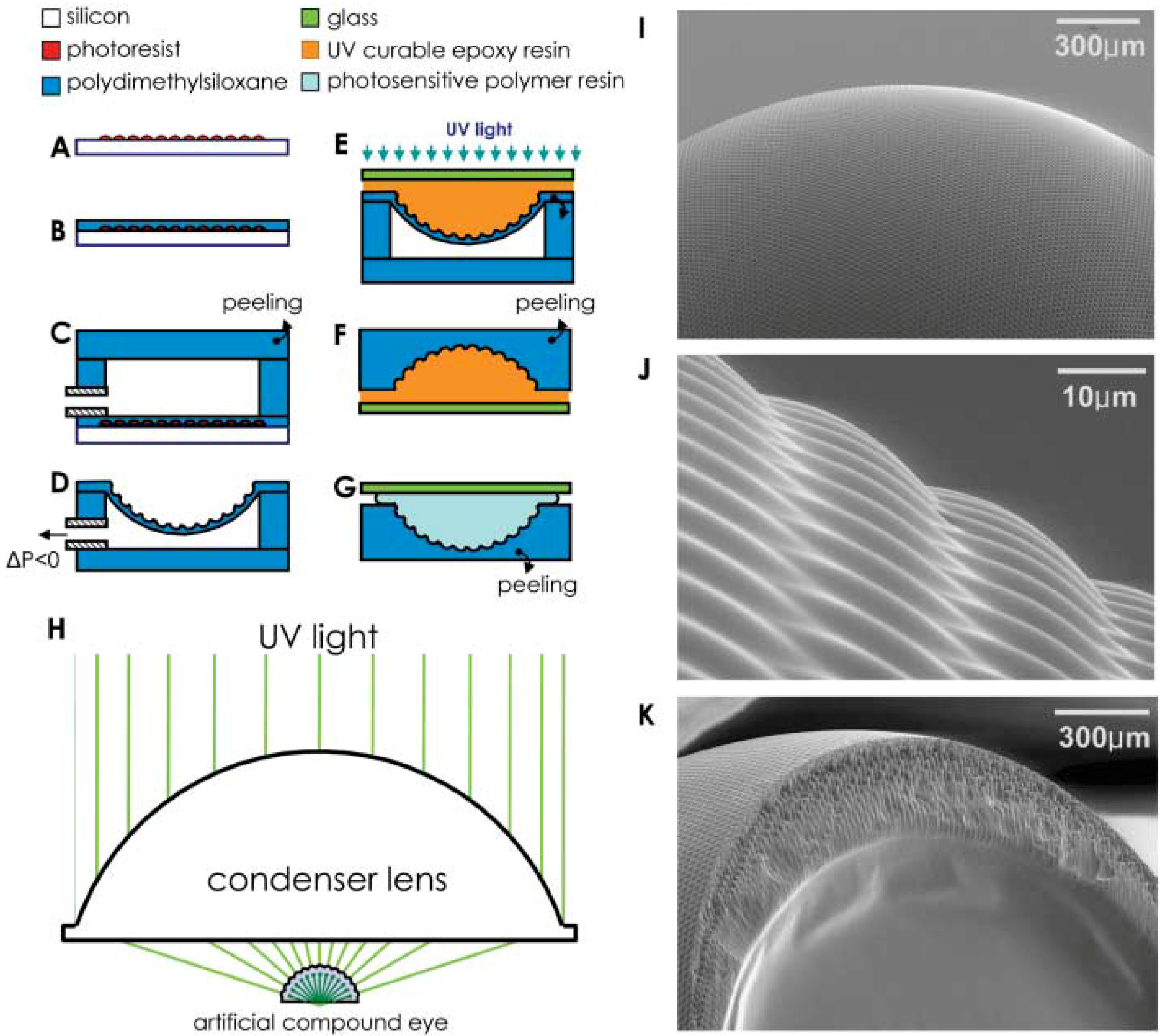Innovative SU-8 Lithography Techniques and Their Applications