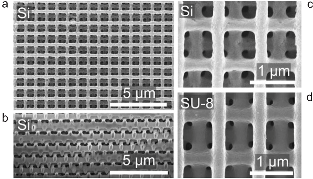 Innovative SU-8 Lithography Techniques and Their Applications