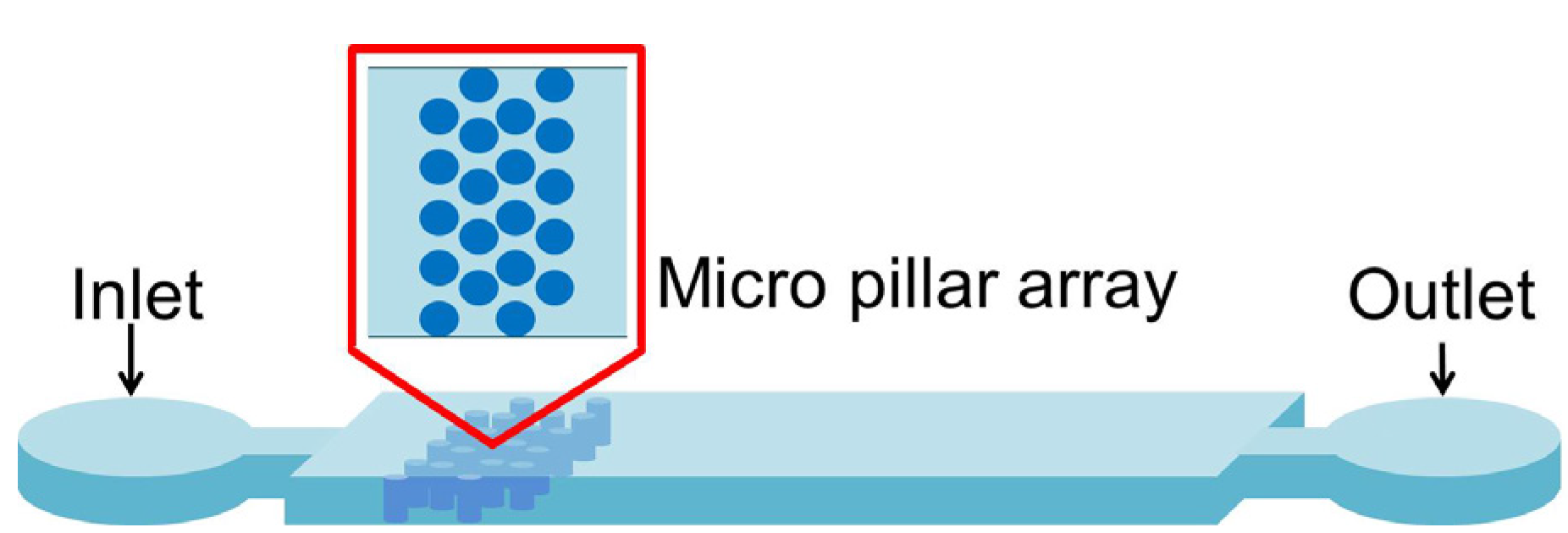 Uniform Cell Distribution Achieved by Using Cell Deformation in a ...