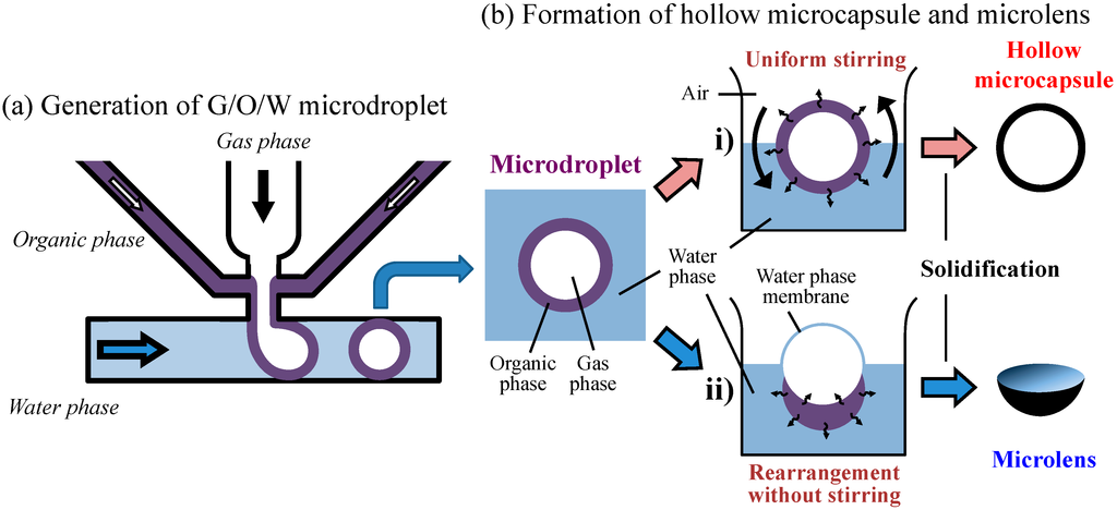 Formation of Polymeric Hollow Microcapsules and Microlenses Using Gas ...