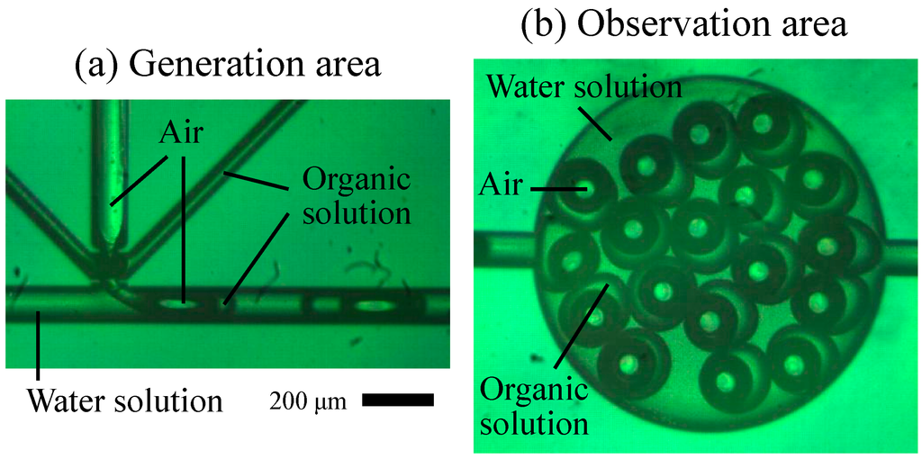 Formation of Polymeric Hollow Microcapsules and Microlenses Using Gas ...