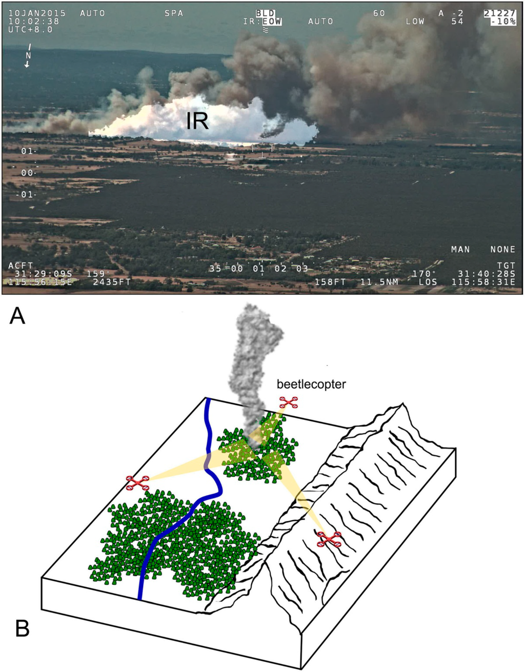 Towards Improved Airborne Fire Detection Systems Using Beetle Inspired ...