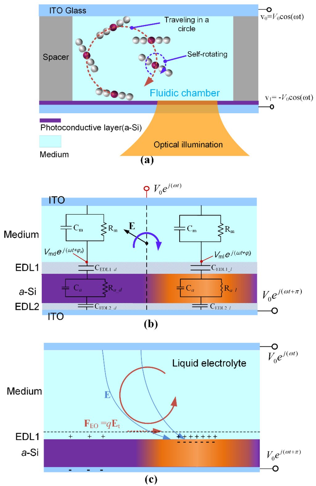 Manipulation of Self-Assembled Microparticle Chains by Electroosmotic ...