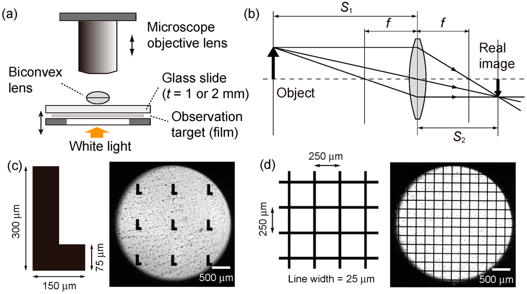 Biconvex Polymer Microlenses with Tunable Imaging Properties Designed ...
