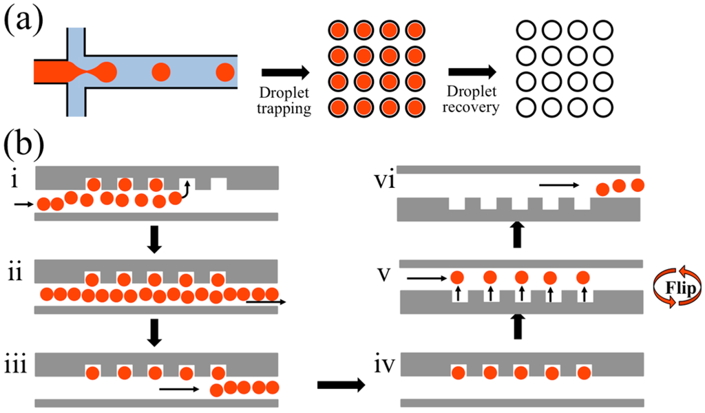 Floating Droplet Array: An Ultrahigh-Throughput Device for Droplet ...