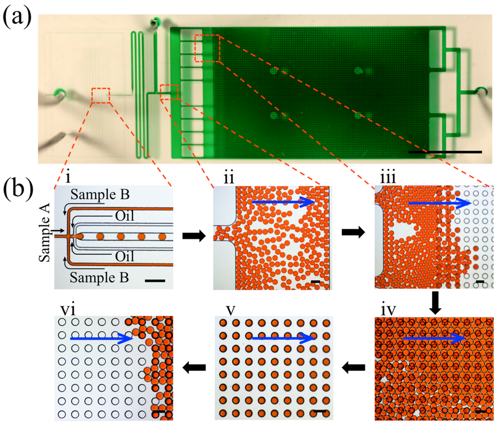 Floating Droplet Array: An Ultrahigh-Throughput Device for Droplet ...