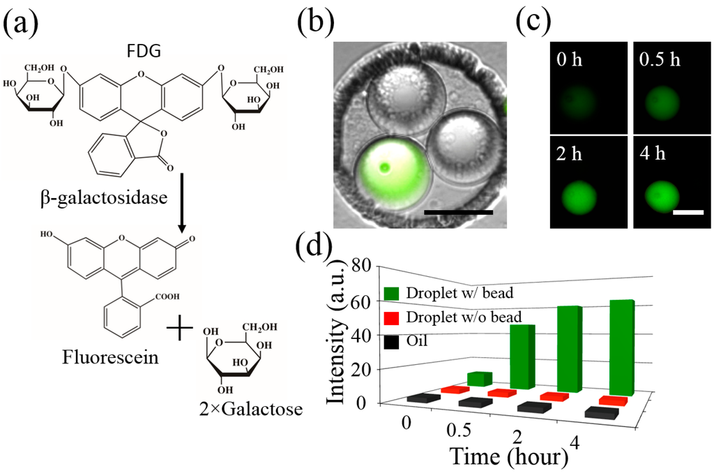 Floating Droplet Array: An Ultrahigh-Throughput Device for Droplet ...