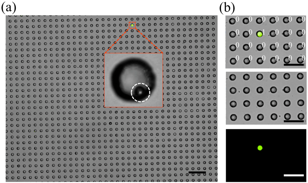 Floating Droplet Array: An Ultrahigh-Throughput Device for Droplet ...