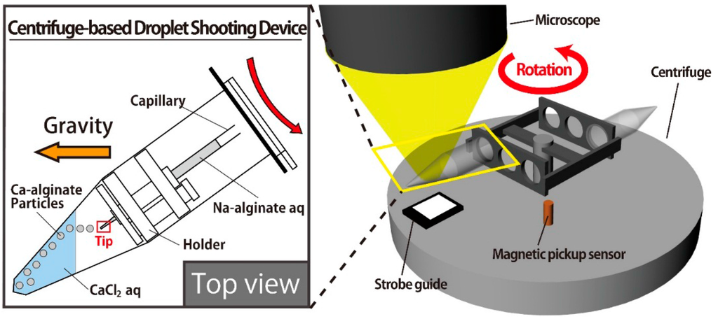 Observation and Manipulation of a Capillary Jet in a Centrifuge-Based ...